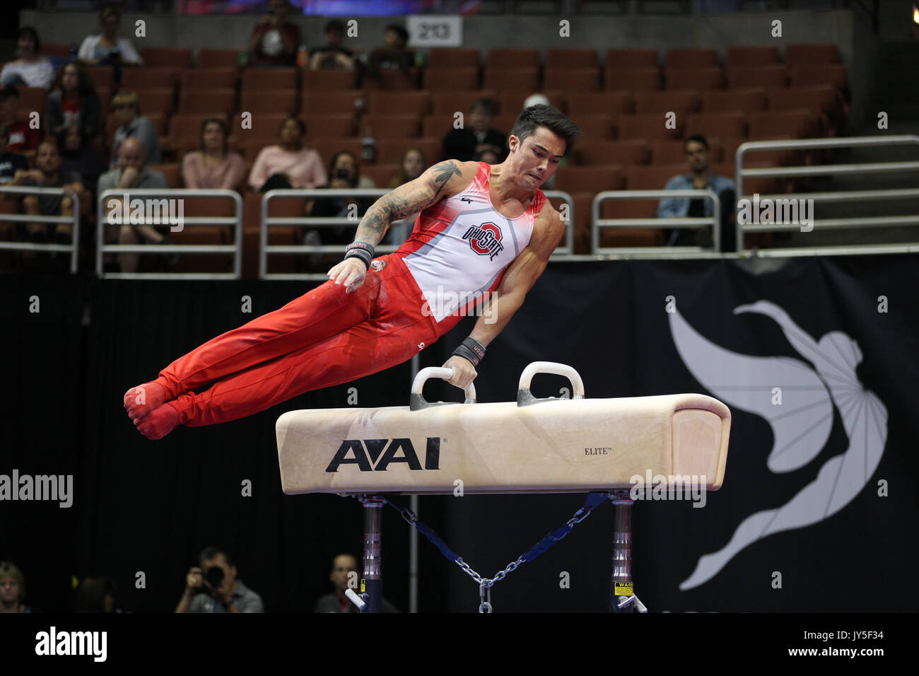August 17, 2017: Gymnast Sean Melton competes in the first day of the ...
