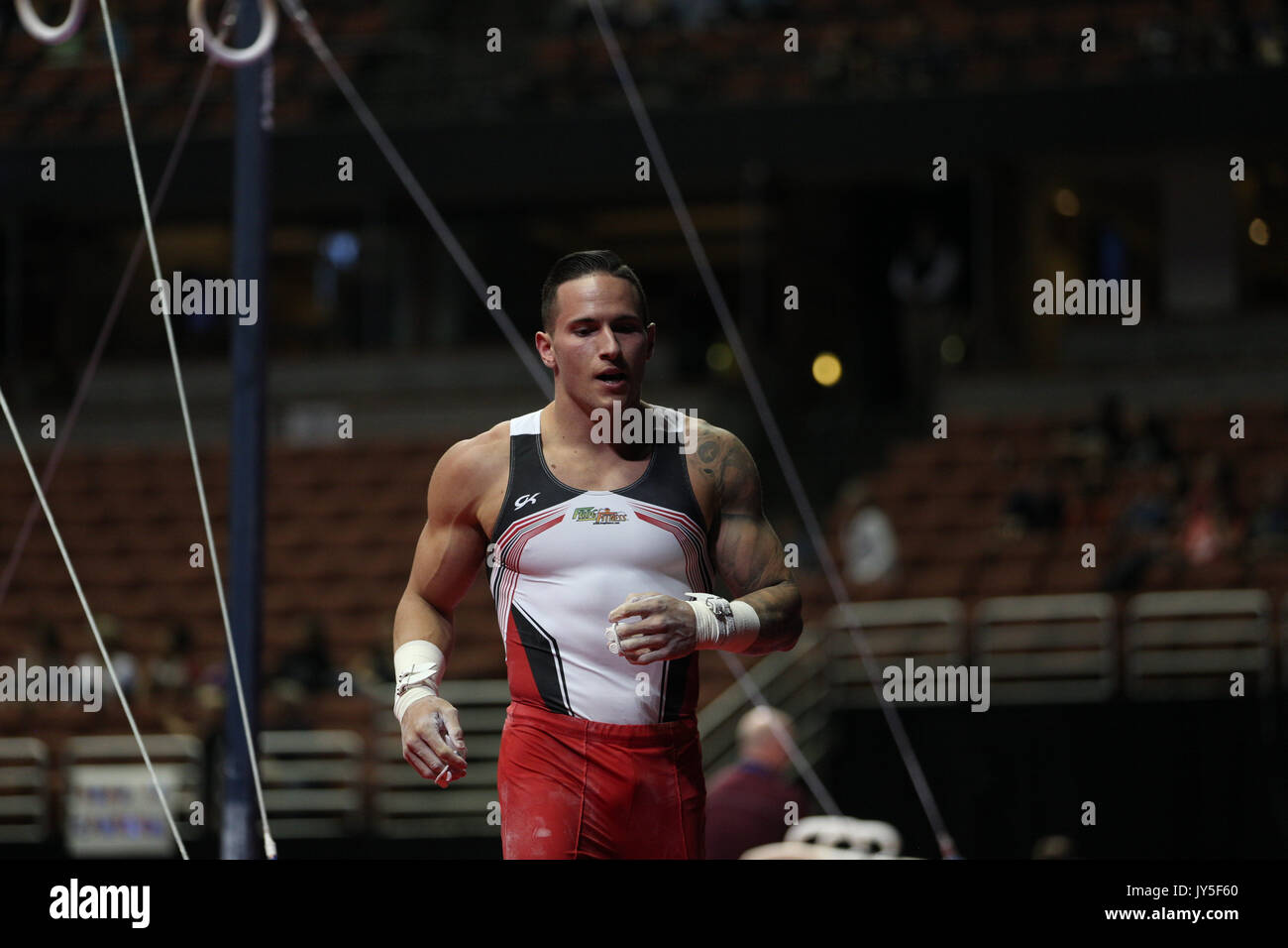 August 17, 2017: Gymnast Alex Naddour competes in the first day of the ...