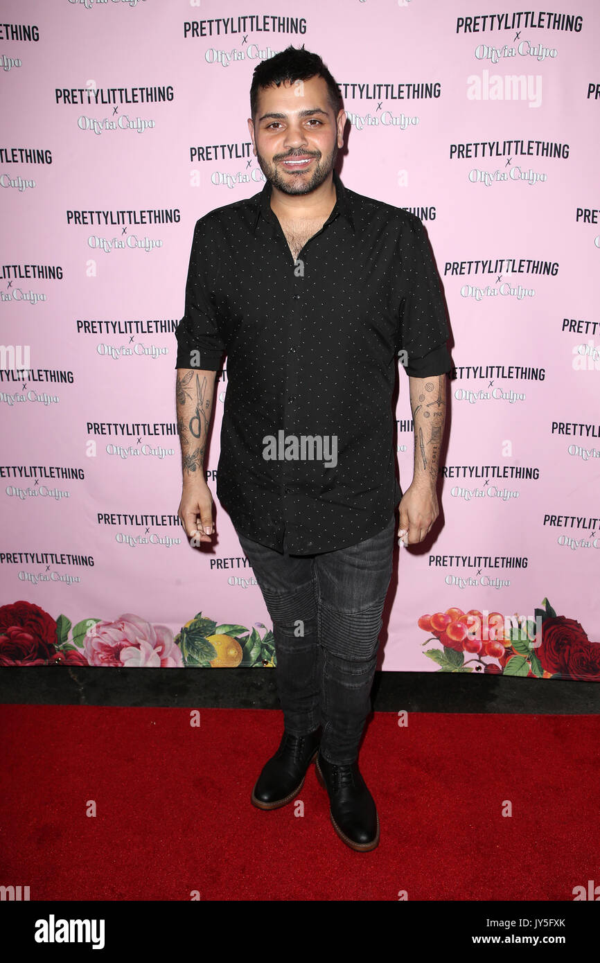 Los Angeles, California, USA. 17th Aug, 2017. Michael Costello, at ...