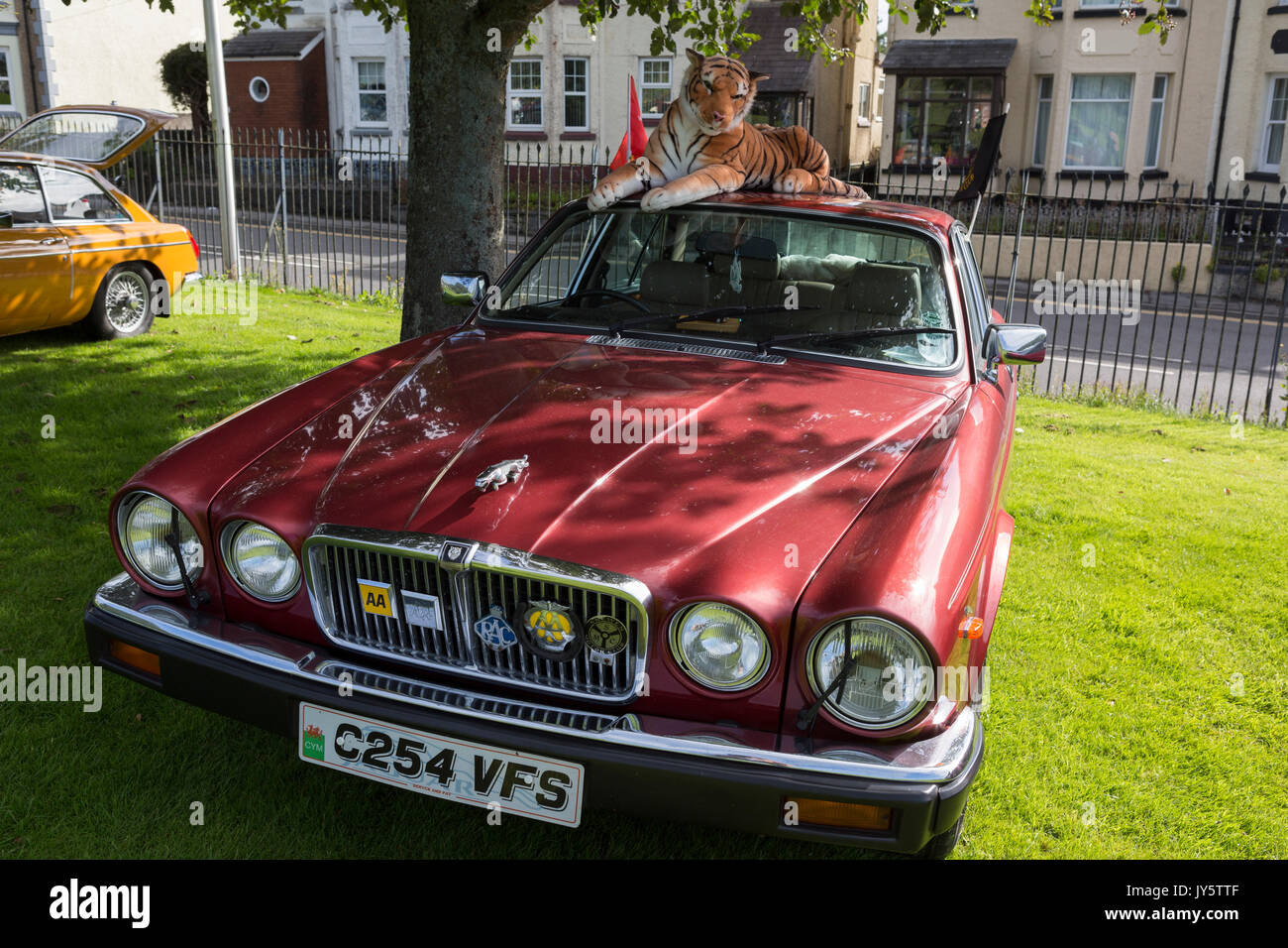 Classic jaguar cars hi-res stock photography and images - Alamy