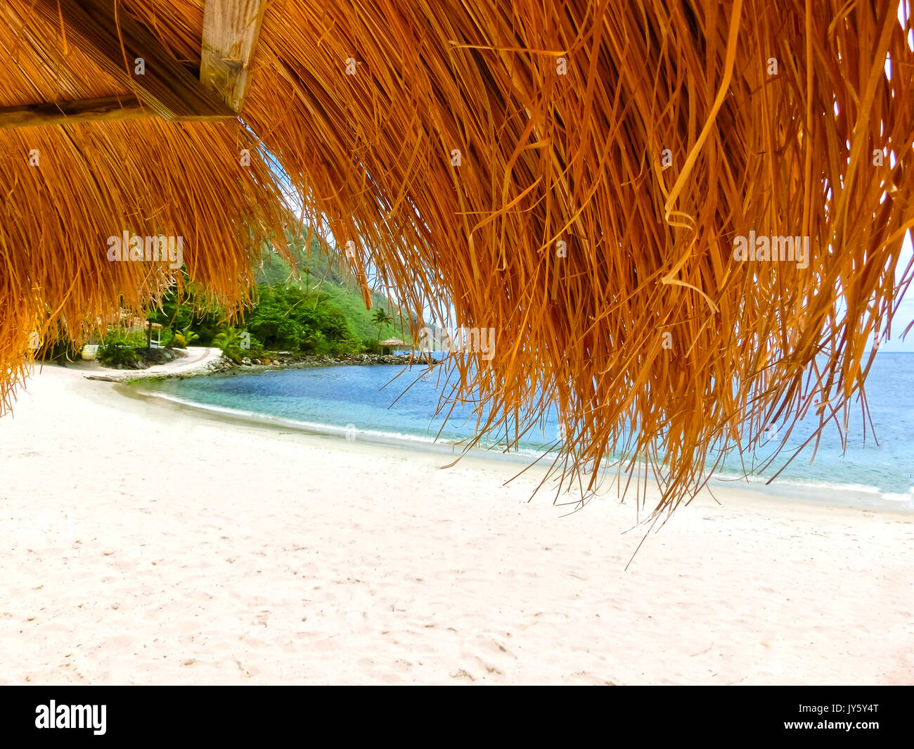 The Caribbean tropical beach Stock Photo - Alamy