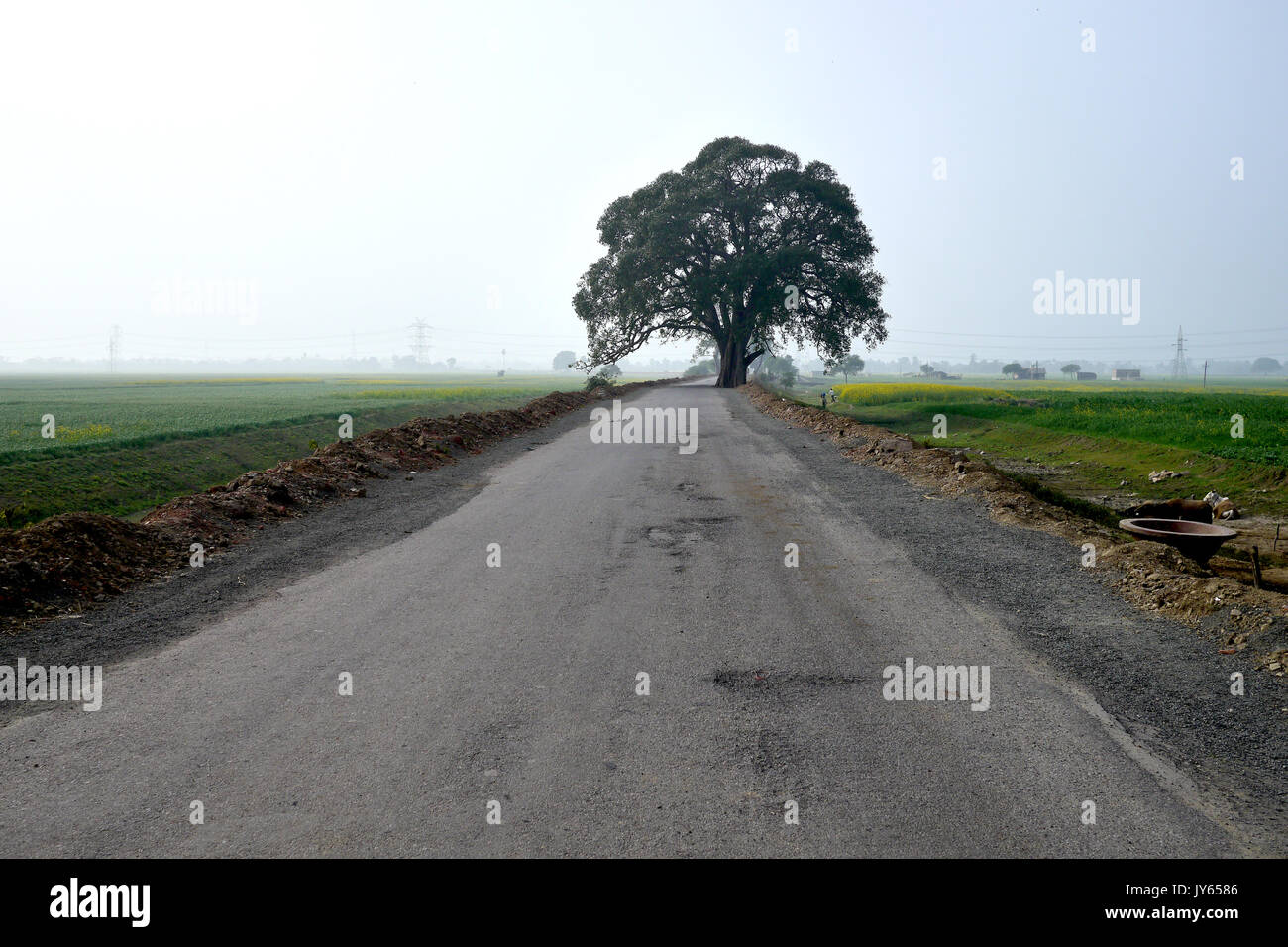 The road to infinity hi-res stock photography and images - Alamy