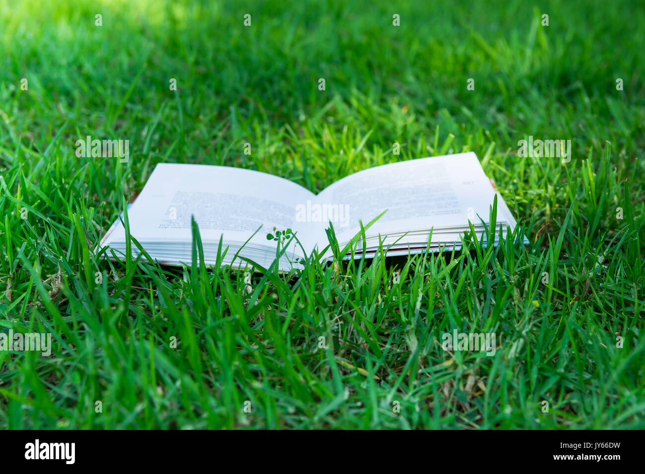Open book lying on green grass sunlight flecks,summer, spring ...