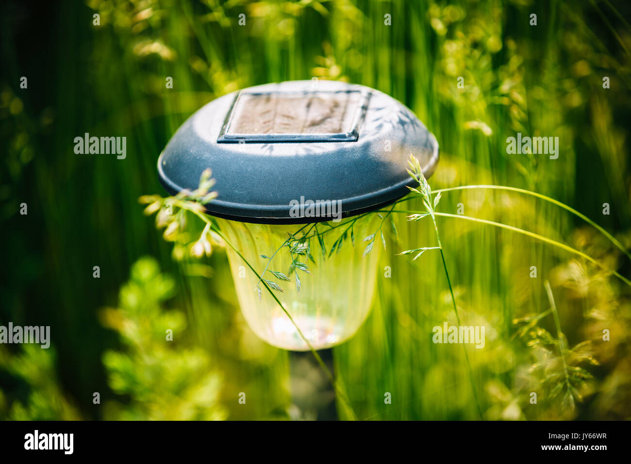 Small Garden Light, Lantern In Green Grass. Garden Design. Solar ...