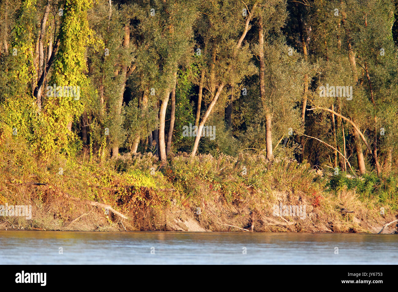 Steep, eroded banks of the Drava River Stock Photo - Alamy