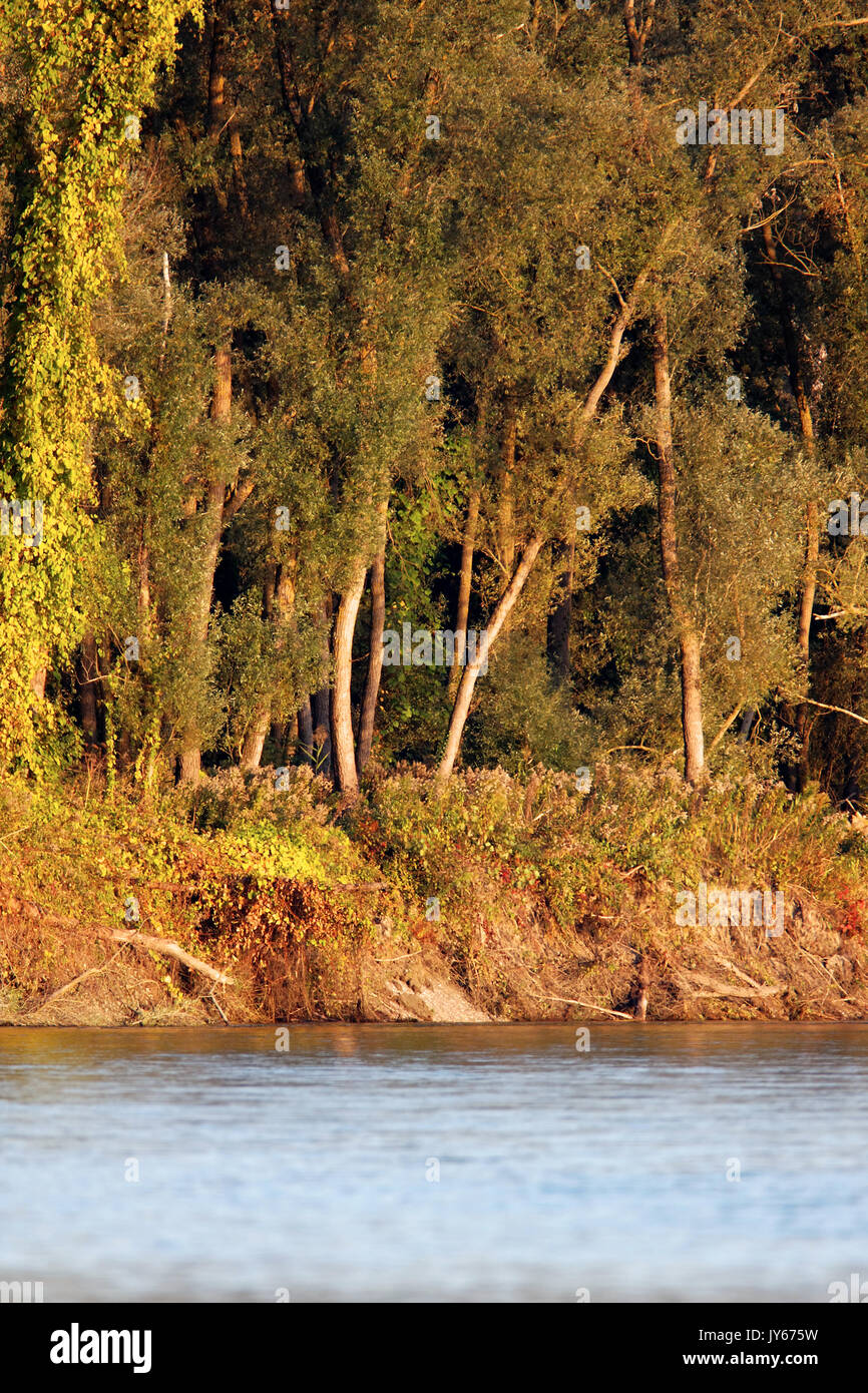 Steep river bank hi-res stock photography and images - Alamy