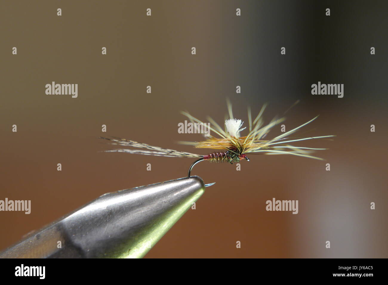 Fishing fly on a hook Stock Photo - Alamy