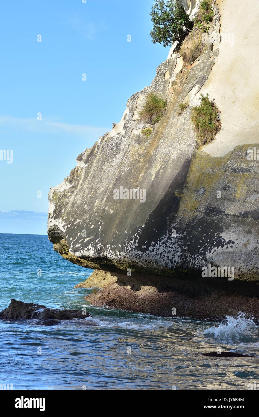 Cliff on the edge of Cathedral Cove in the sun Stock Photo - Alamy