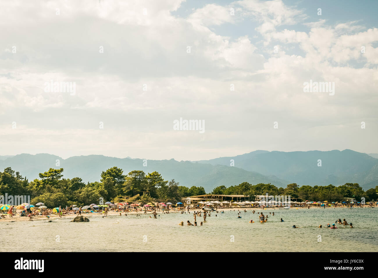 relaxing view with water and natural elements in a sunny day Europe ...