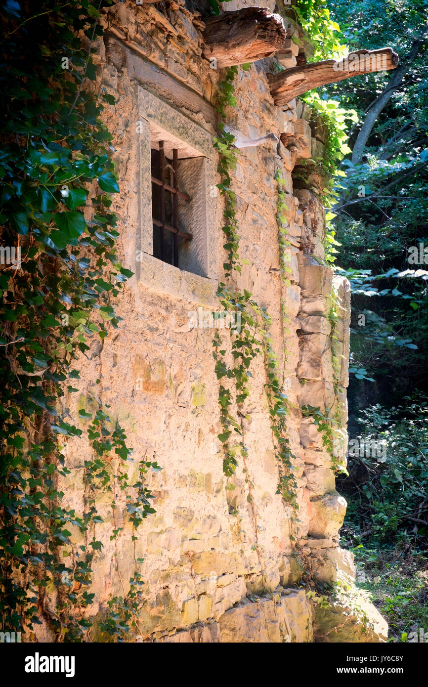 Overgrown wall of abandoned building Stock Photo - Alamy
