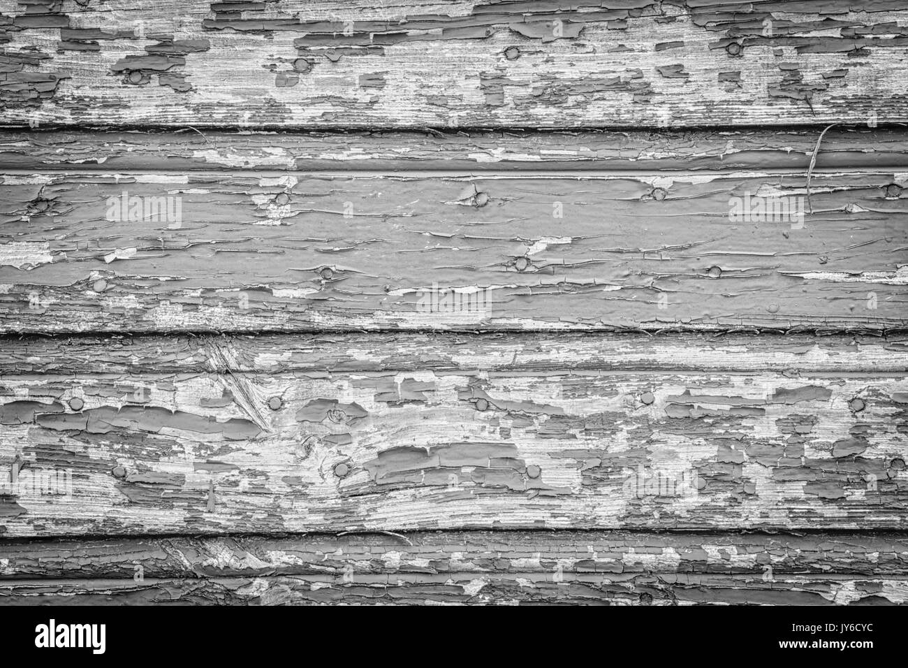White rustic wood texture with natural patterns surface as background ...