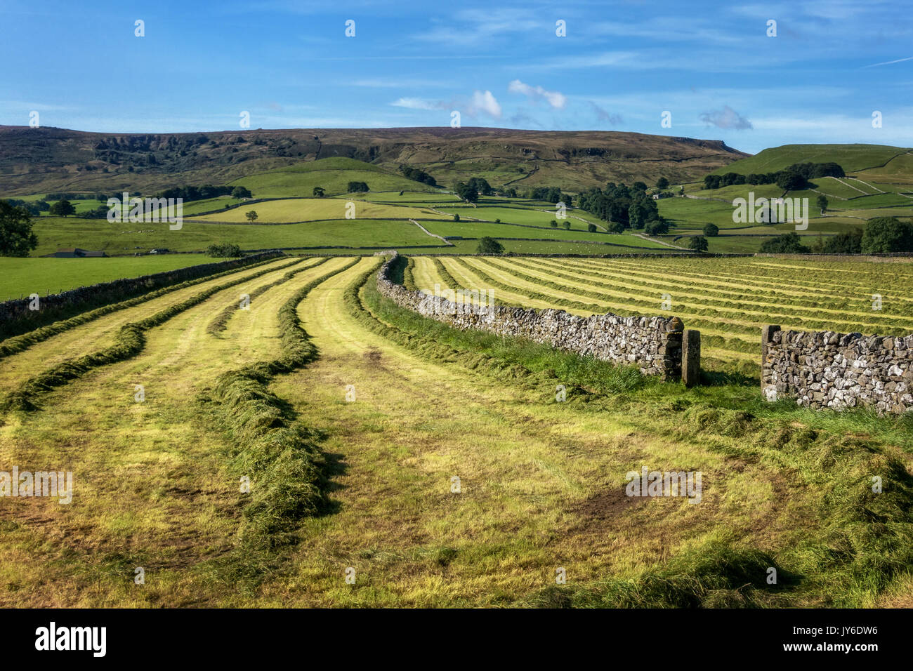 Limestone grass field hi-res stock photography and images - Alamy