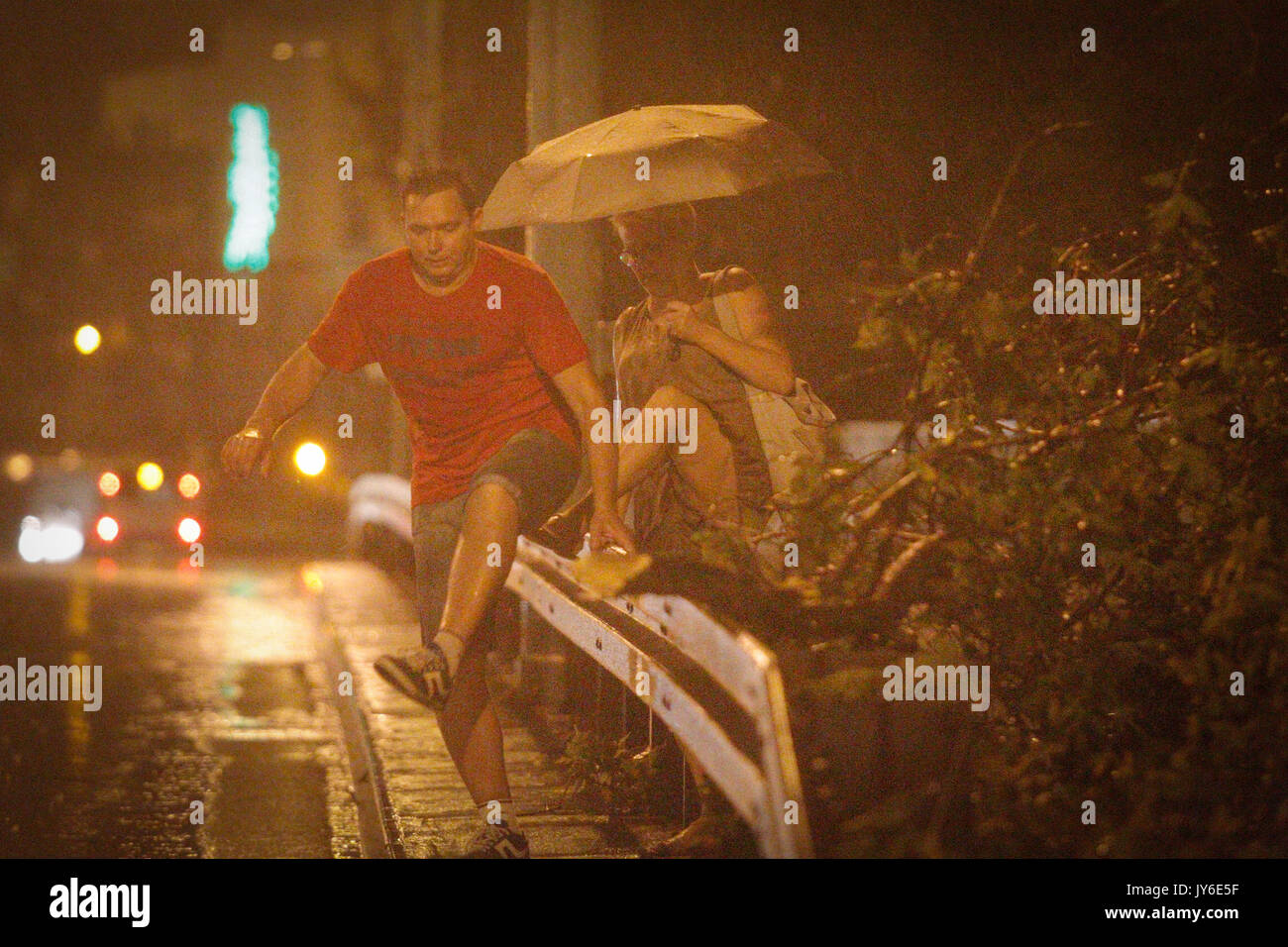 People are seen climbing over a railing onto a busy road after a tree ...