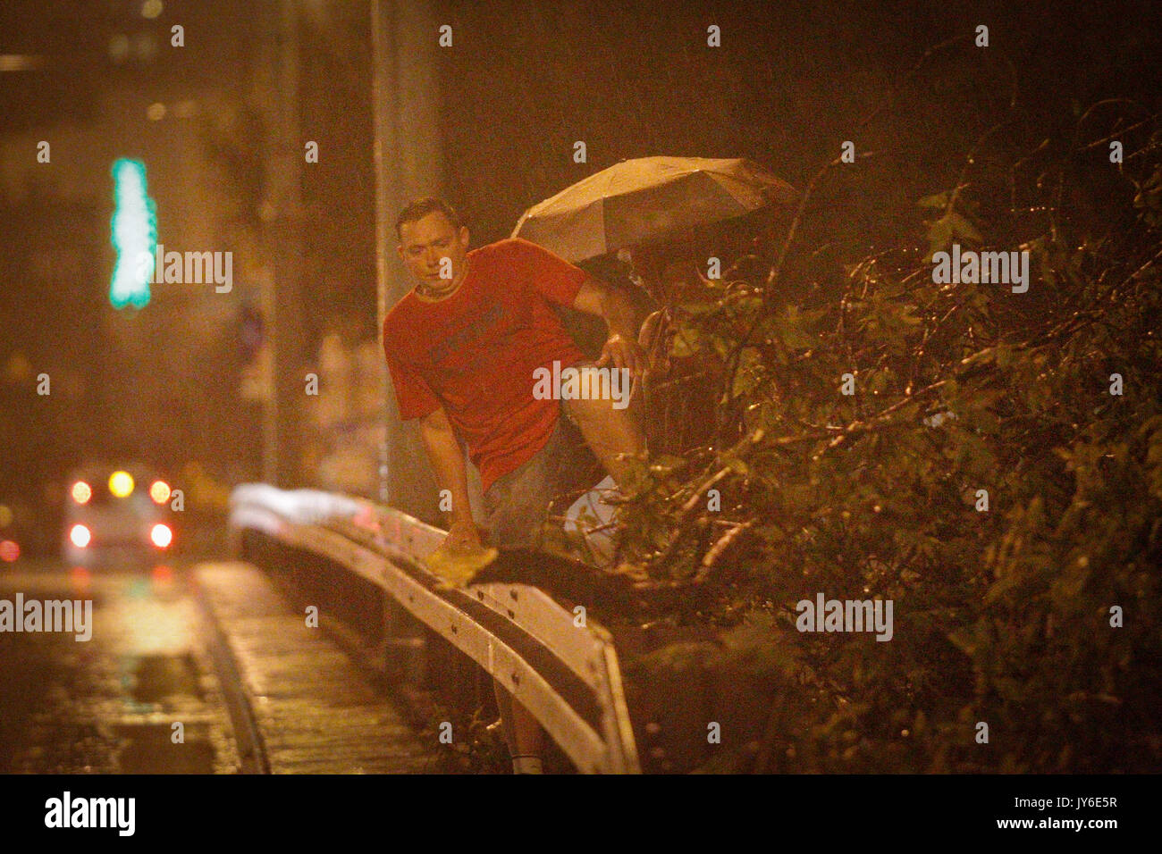 People are seen climbing over a railing onto a busy road after a tree ...