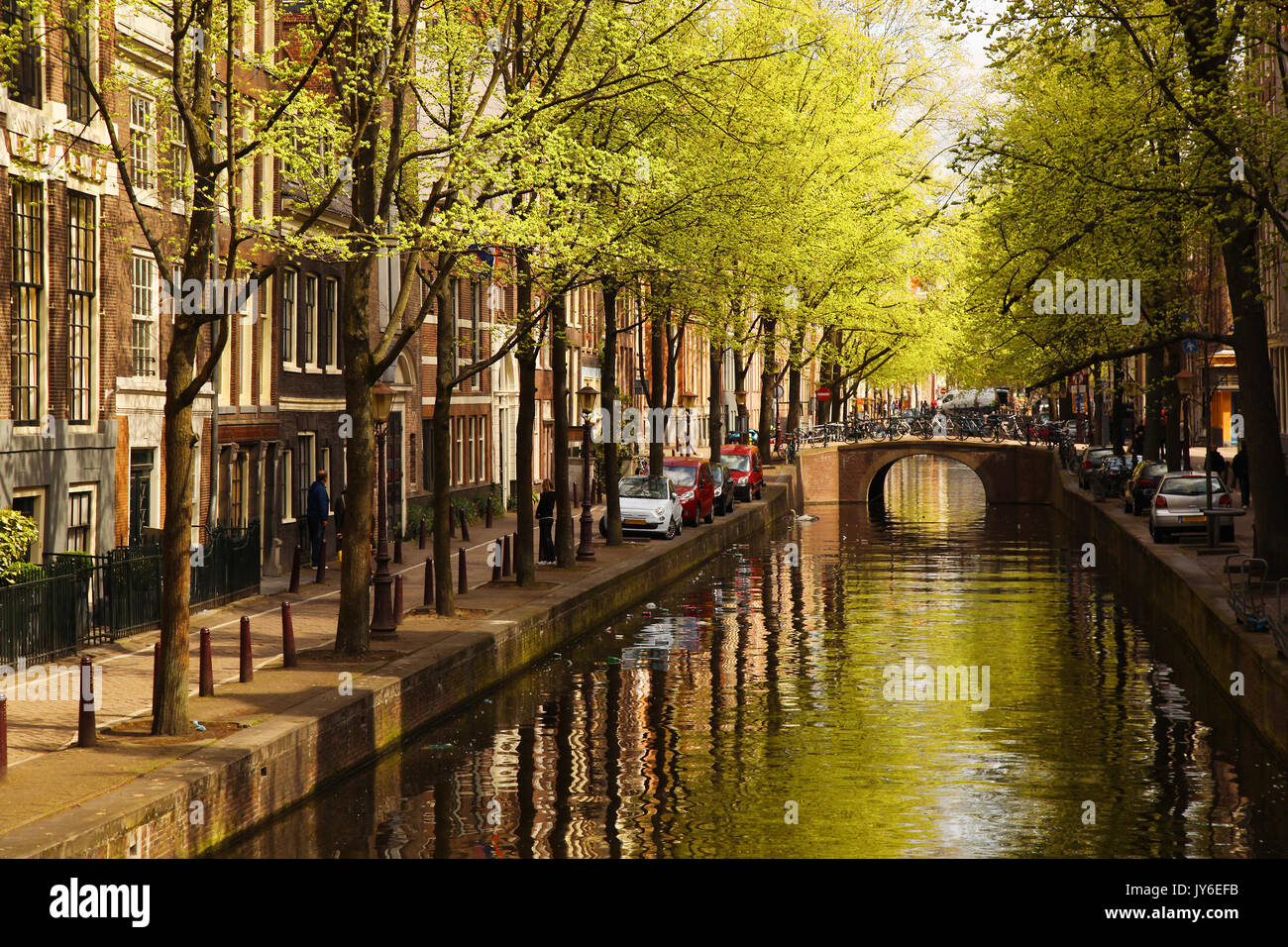 Amsterdam with green canal in the downtown, Holland Stock Photo - Alamy