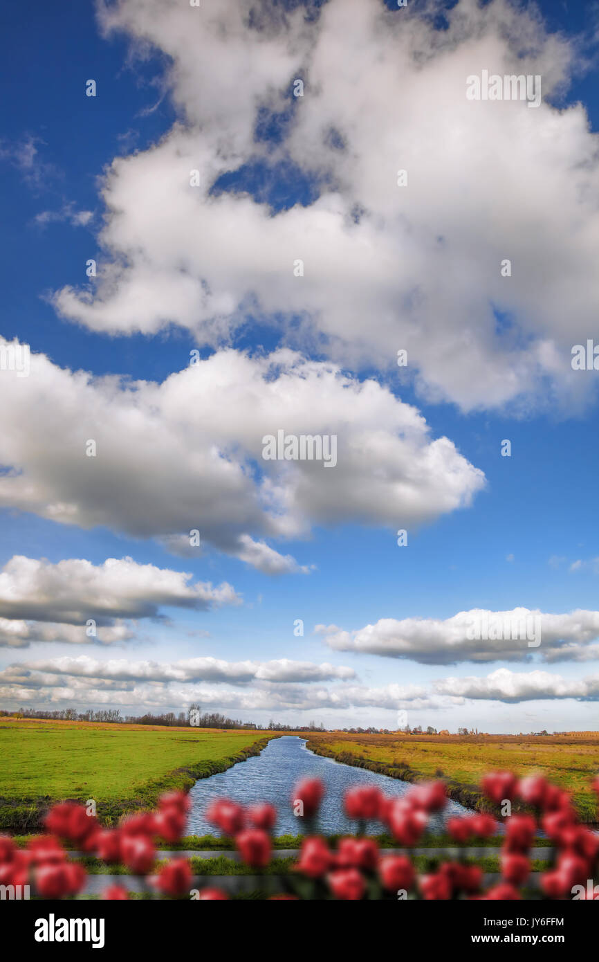 Traditional Dutch landscape in Zaanse Schans, Amsterdam area, Holland ...