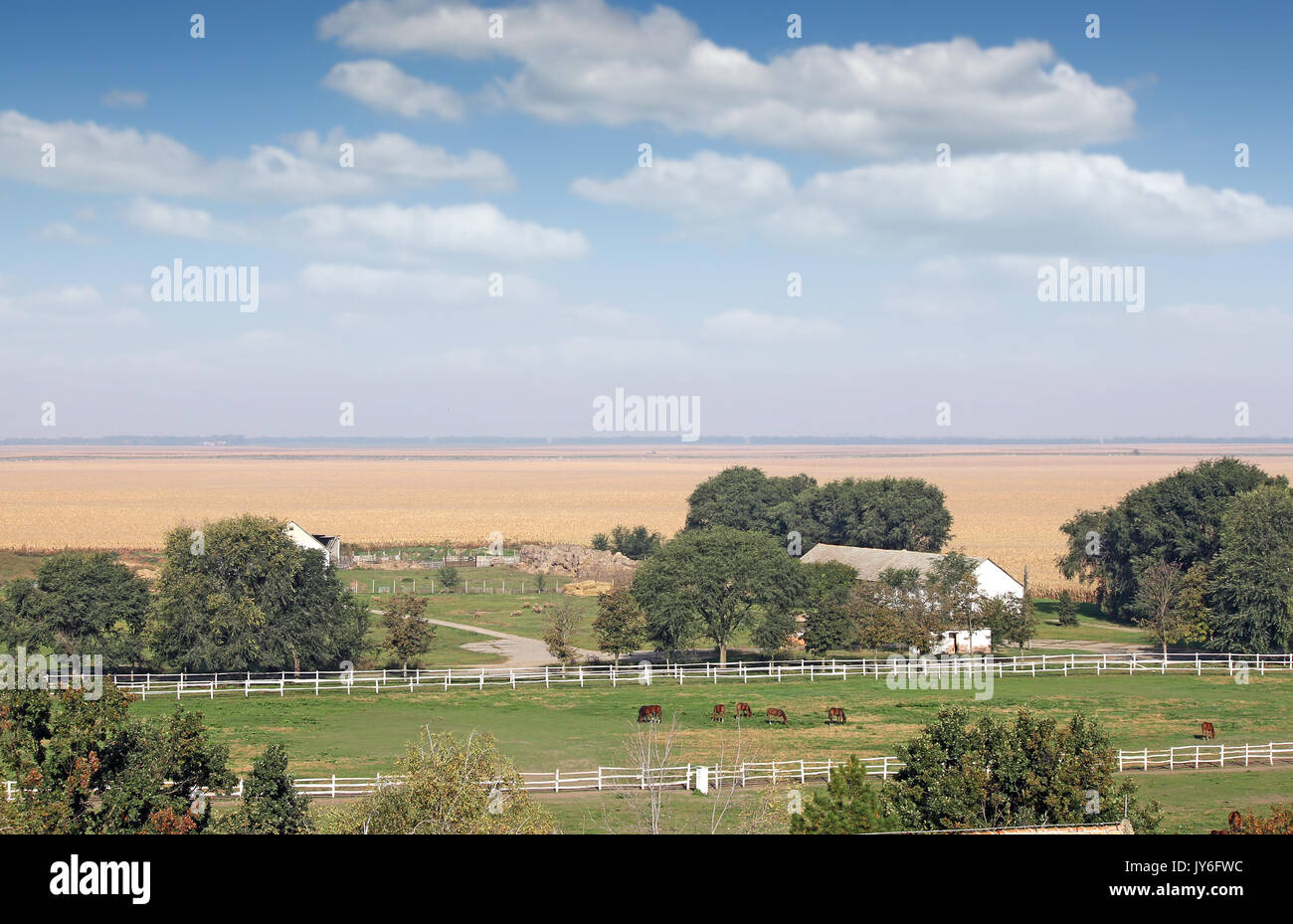 farm with horses corral and stable landscape Stock Photo - Alamy