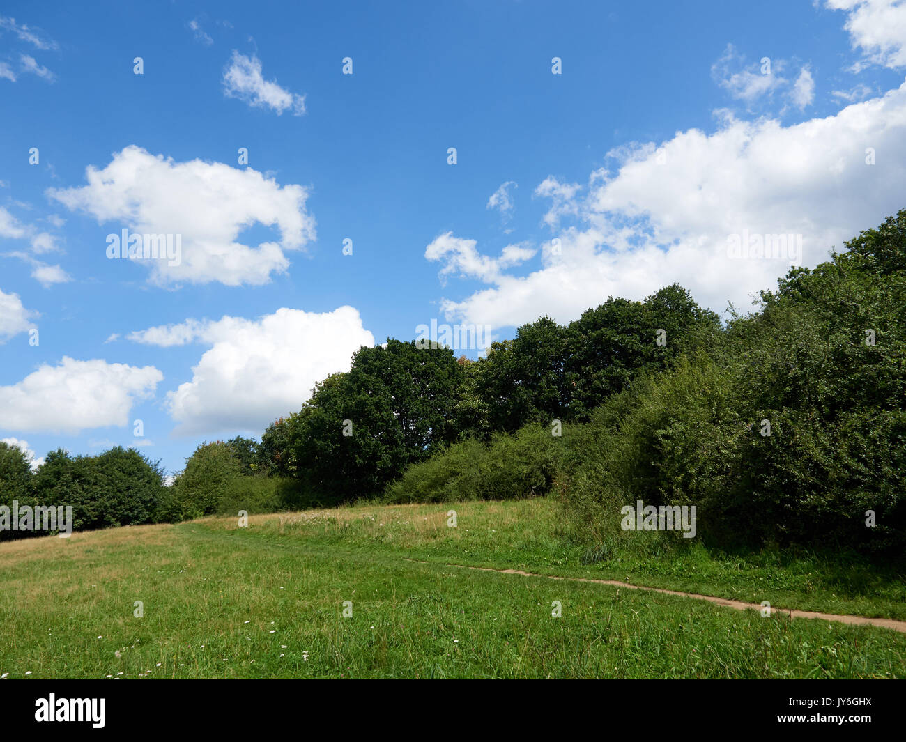 Caversham park uk hi-res stock photography and images - Alamy