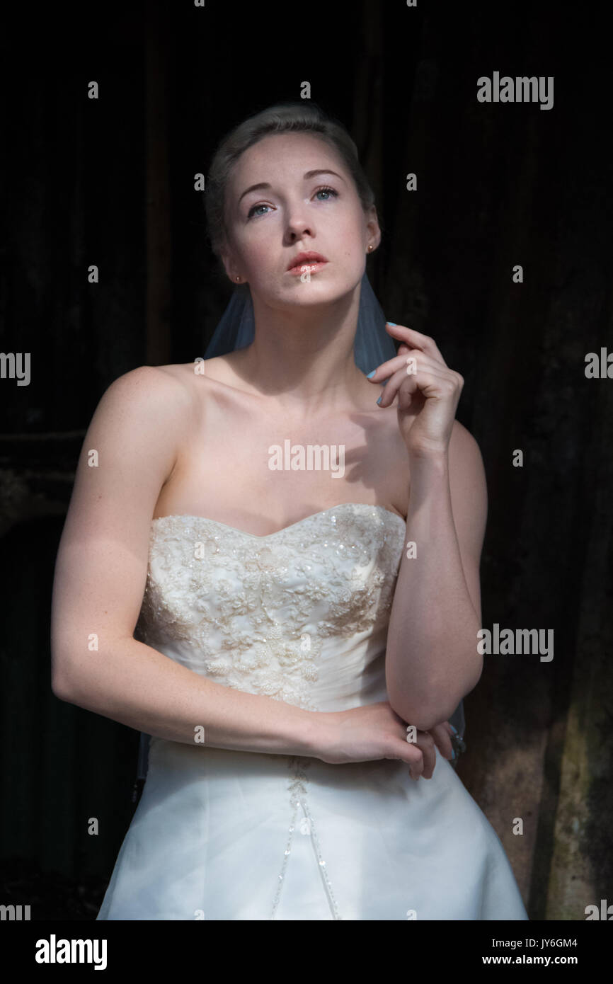 Abandoned Bride and Decay at Platt's Eyot Island Hampshire Stock Photo ...
