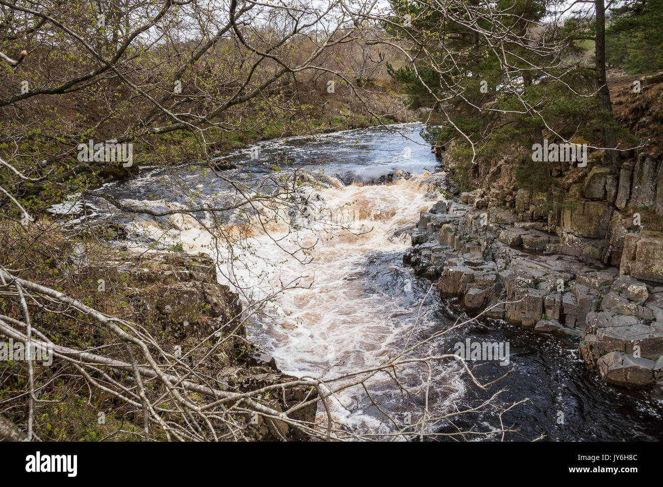 Waterfalls at Low Force,Bowlees,Teesdale,England,UK Stock Photo - Alamy