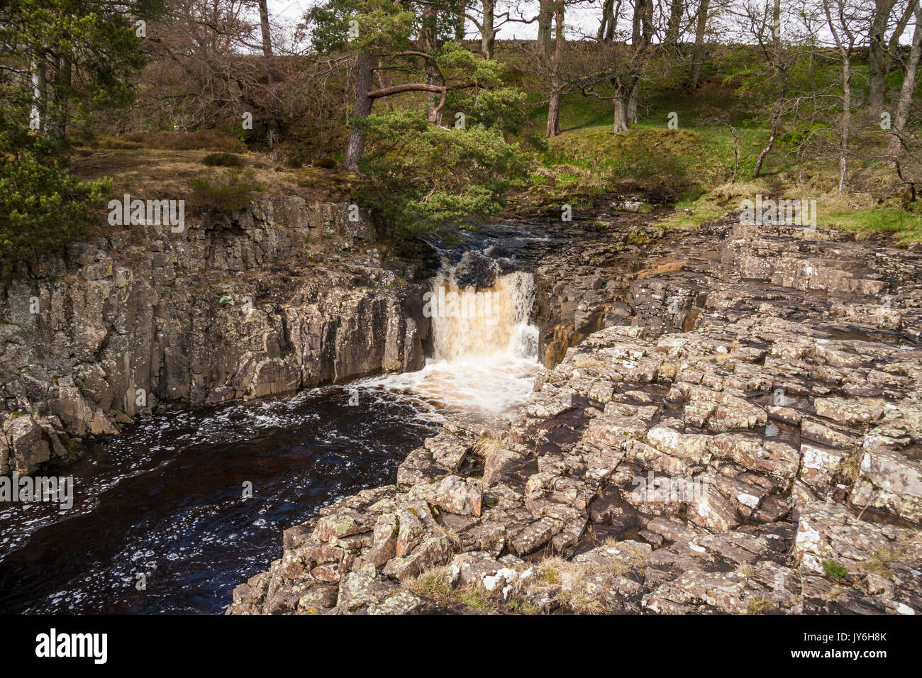 Waterfalls at Low Force,Bowlees,Teesdale,England,UK Stock Photo - Alamy