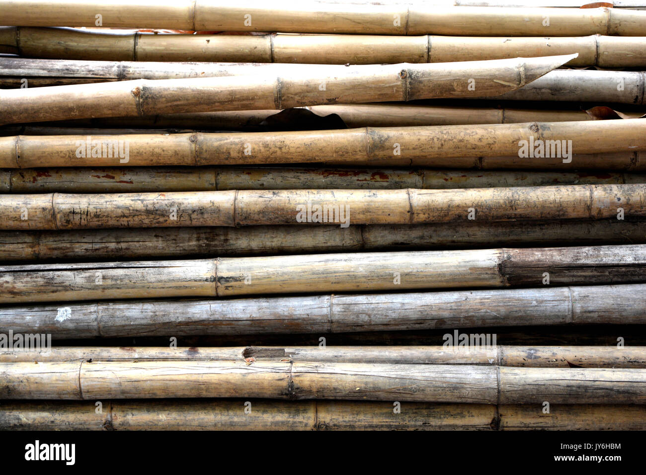 Bamboo stems textures and old texture nature Stock Photo - Alamy