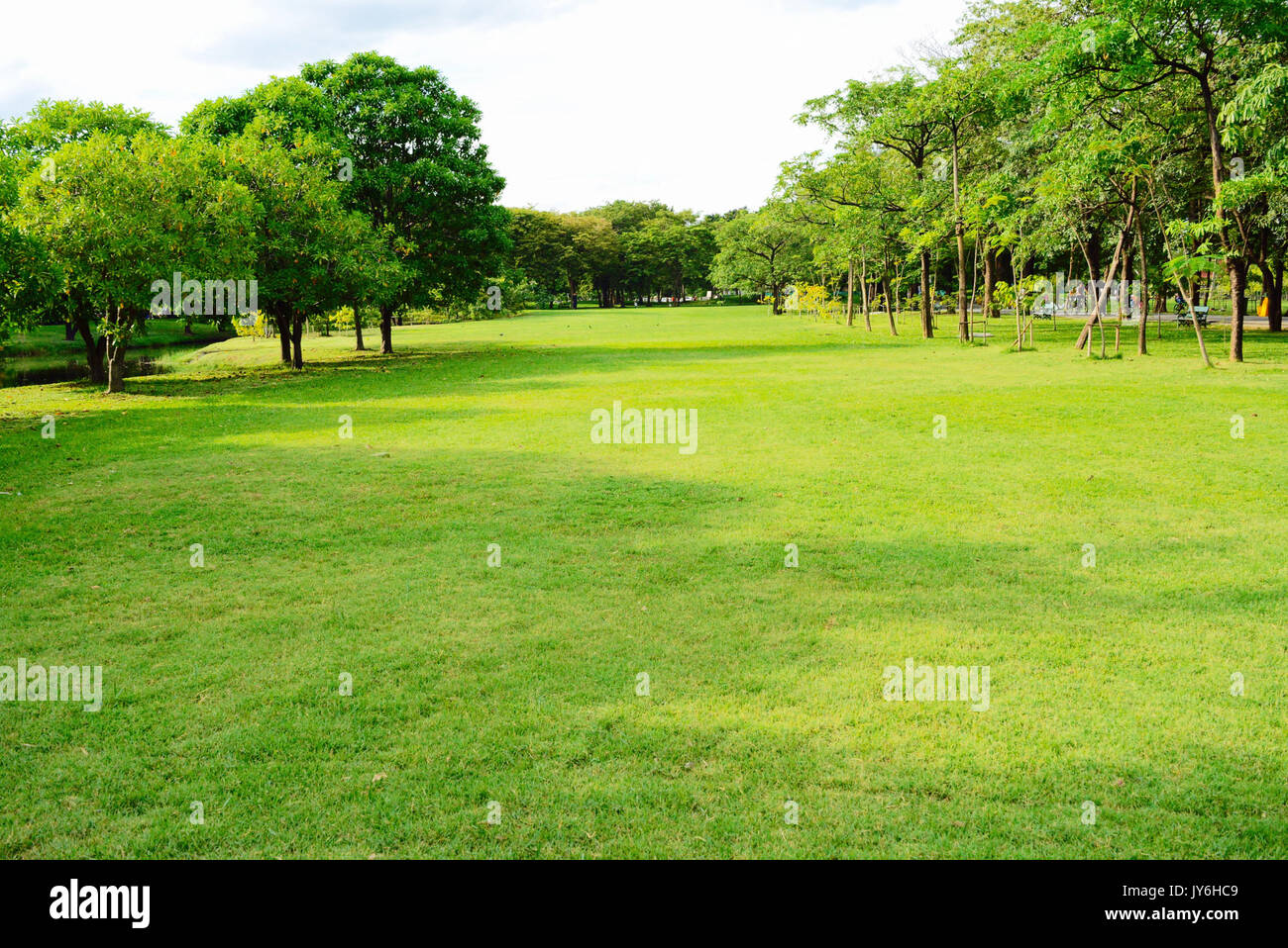 Garden background hi-res stock photography and images - Alamy