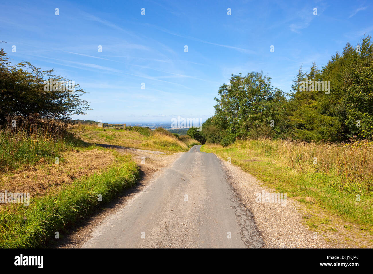 a small country road overlooking the vale of york beside woodland under ...