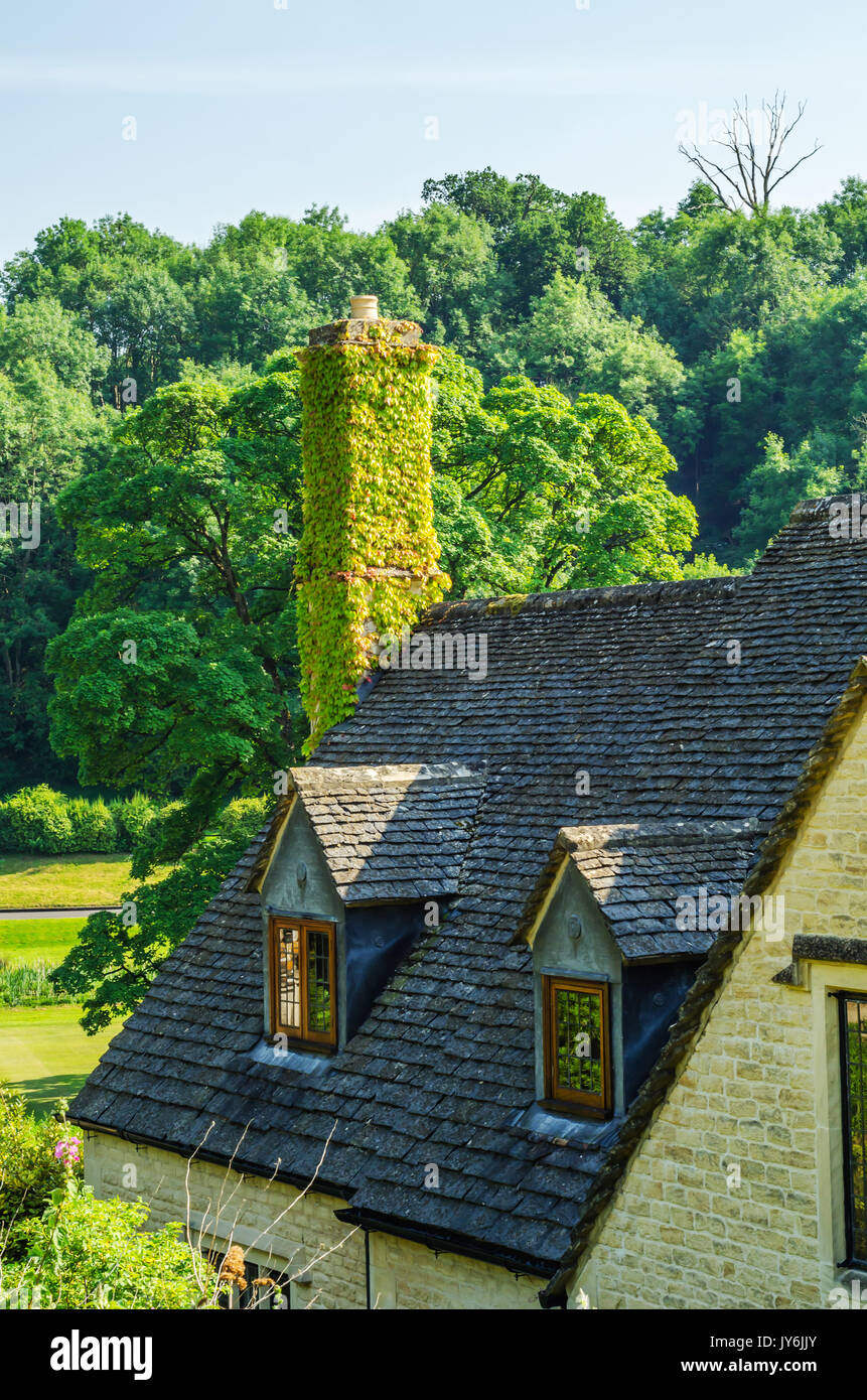 Roofs of buildings covered with sar roof tile, beautiful English ...
