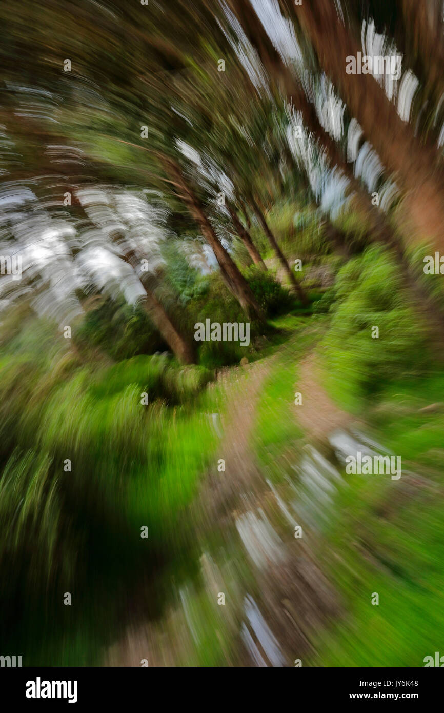 Girando y girando hi-res stock photography and images - Alamy