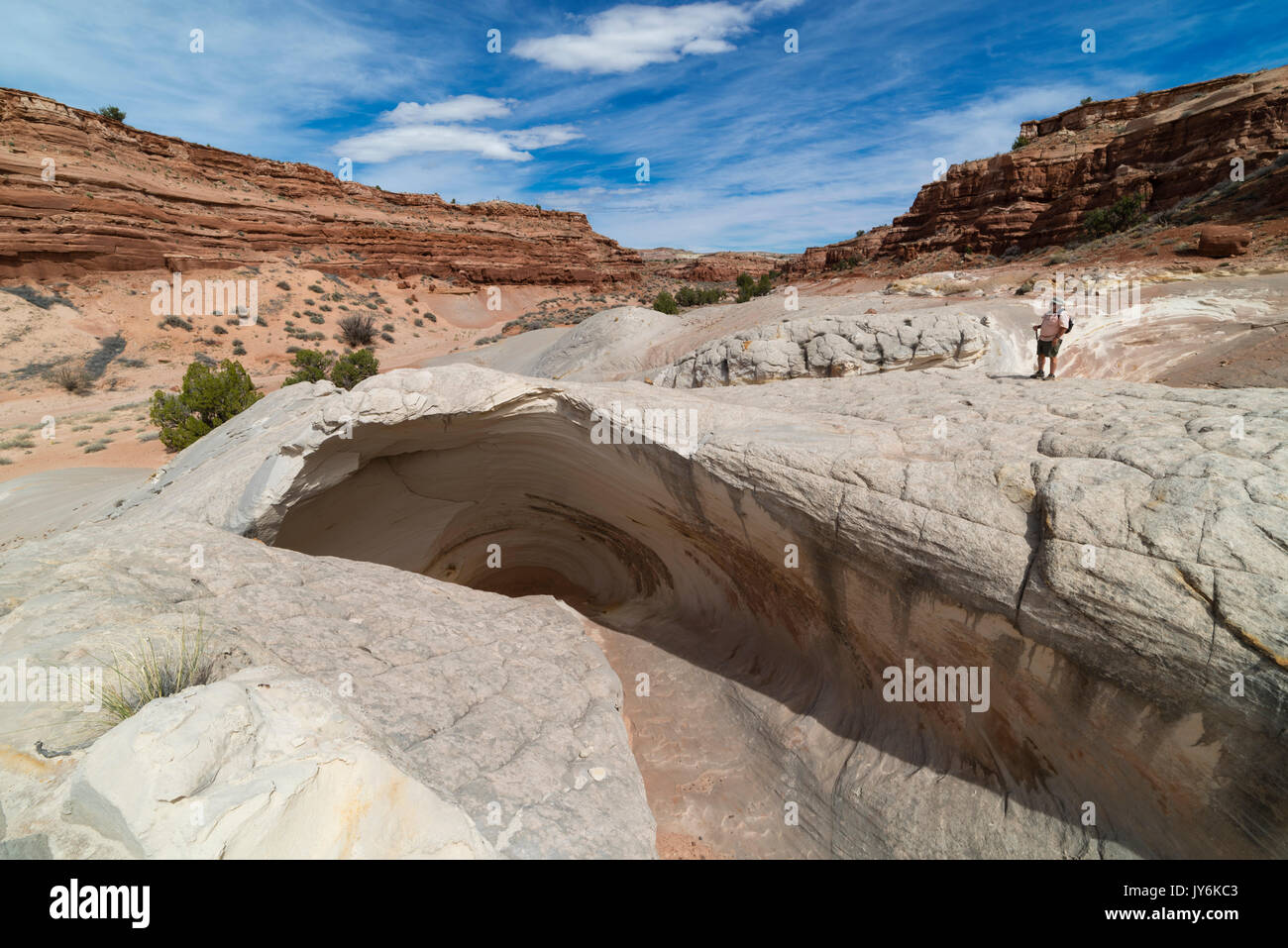 Image of The Nautilus, an eroded rock formation on the Paria Plateau of ...