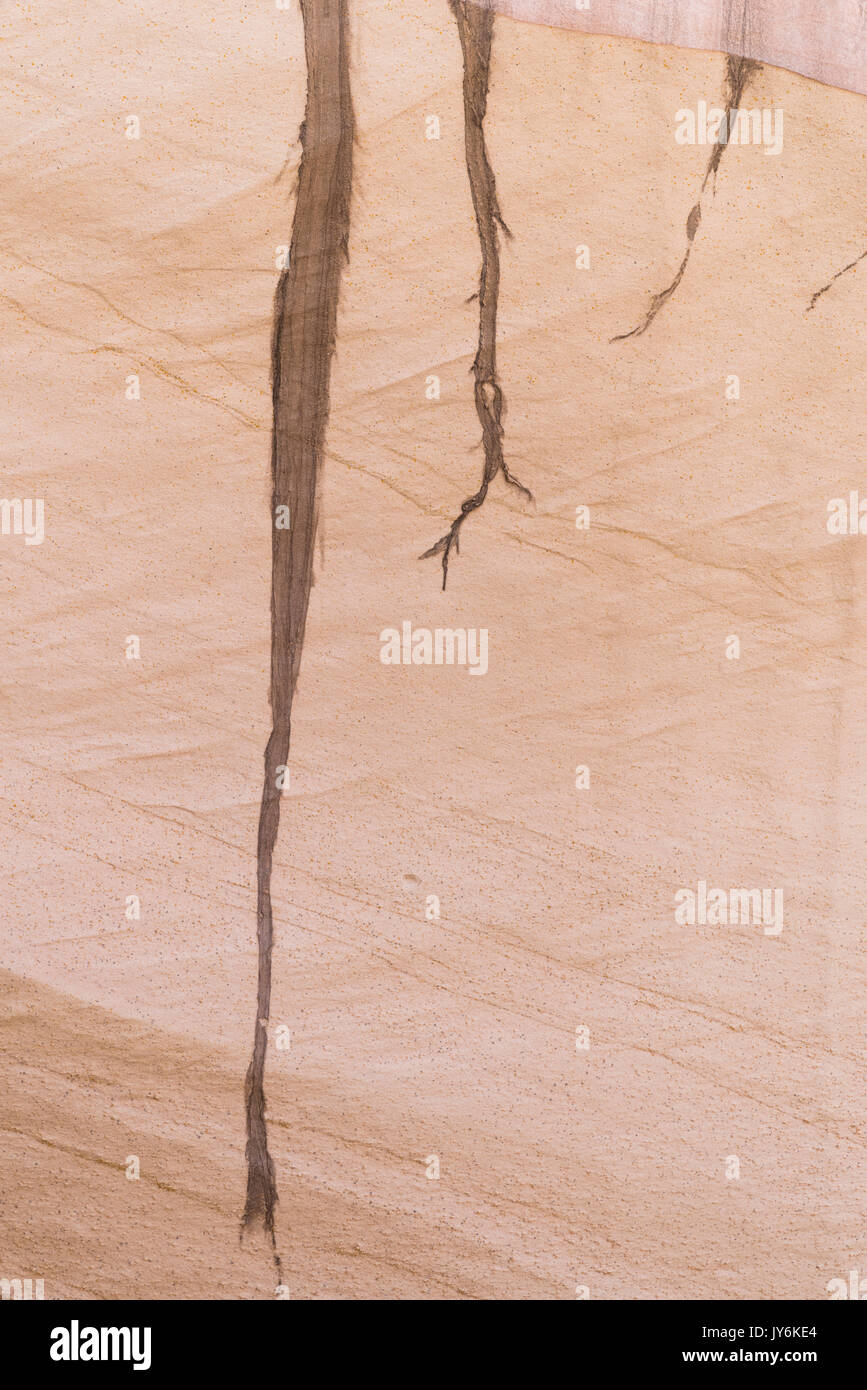 Image of The Nautilus, an eroded rock formation on the Paria Plateau of ...