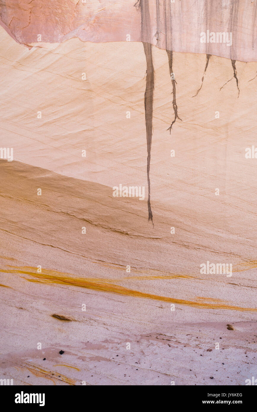 Image of The Nautilus, an eroded rock formation on the Paria Plateau of ...