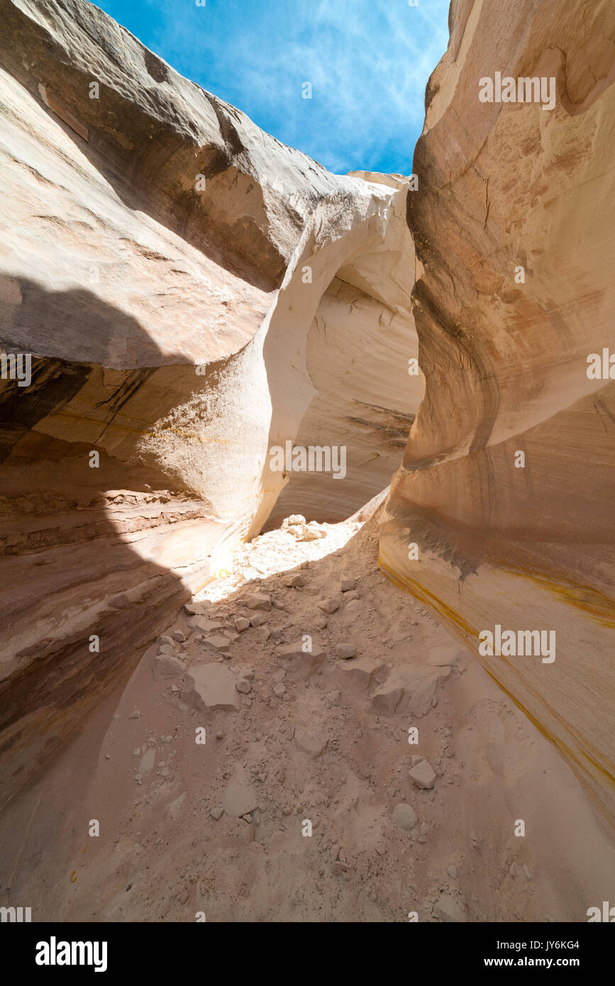 Image of The Nautilus, an eroded rock formation on the Paria Plateau of ...