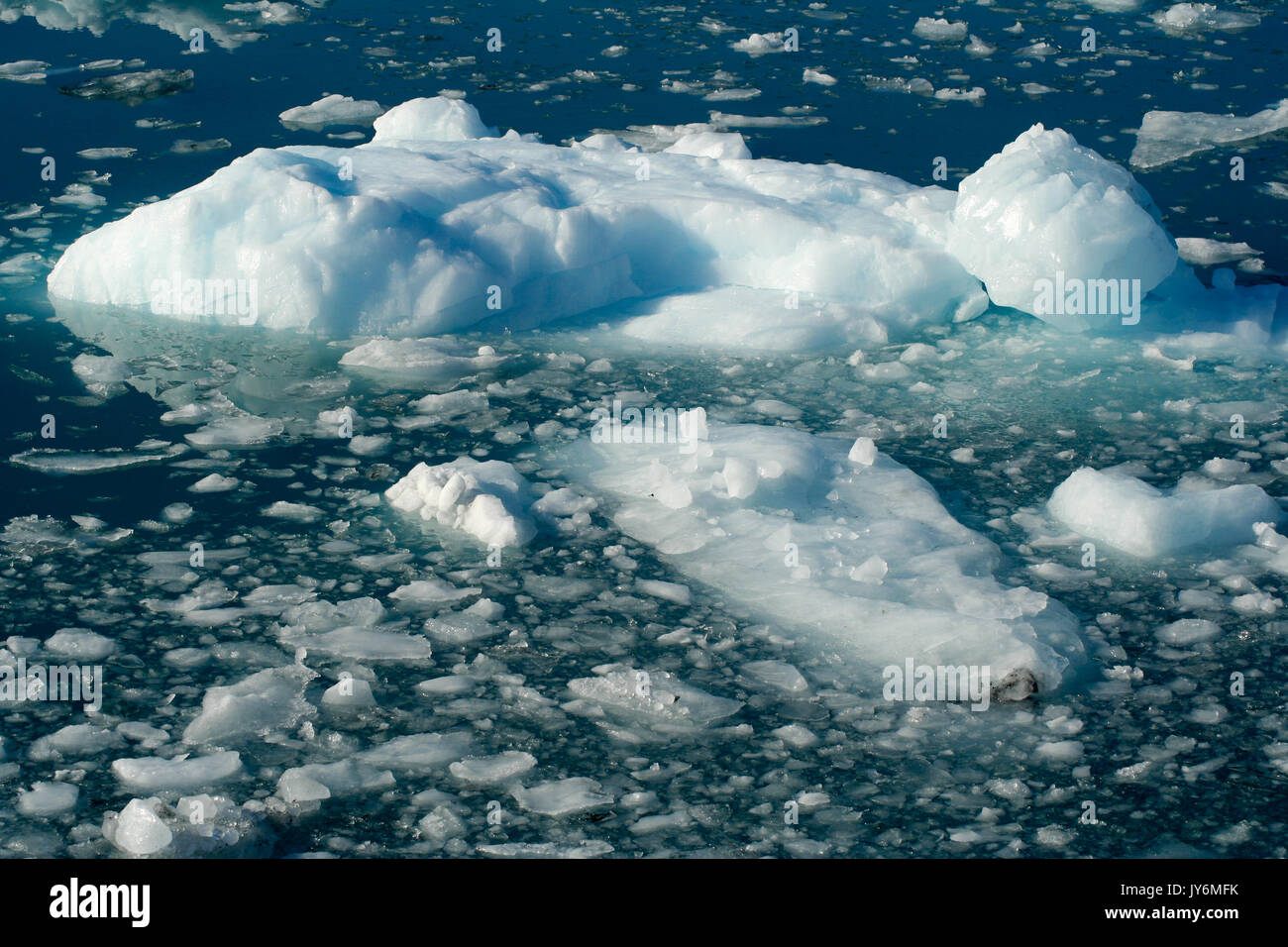 Glacial environment hi-res stock photography and images - Alamy