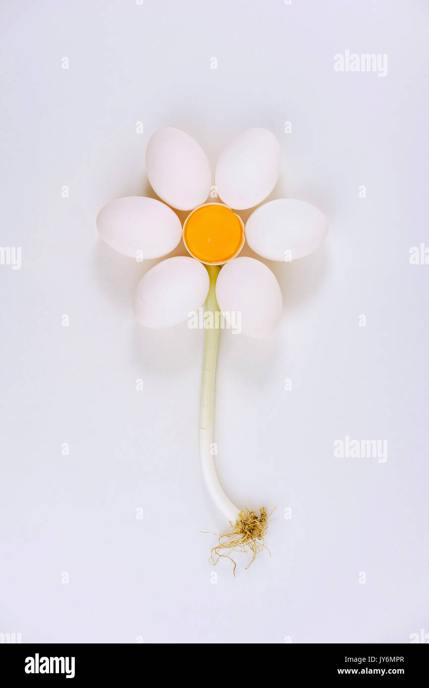 Chicken shape hi-res stock photography and images - Alamy