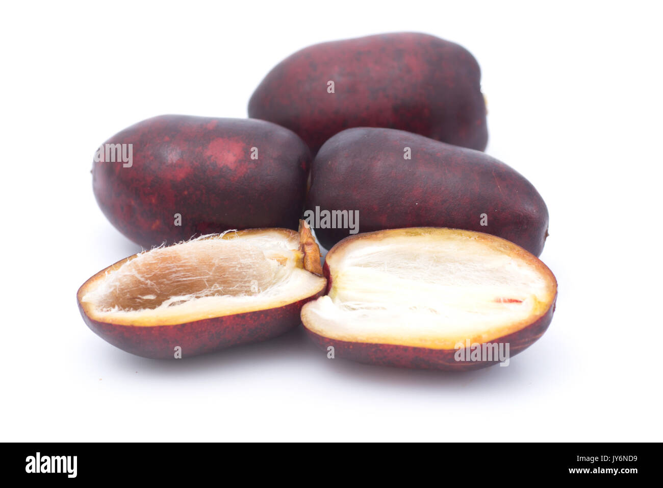 Fresh of Date palm (Phoenix dactylifera) isolated on white background ...