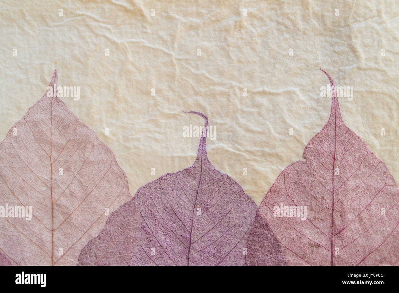 japanese handmade paper with violet leaves pattern Stock Photo - Alamy