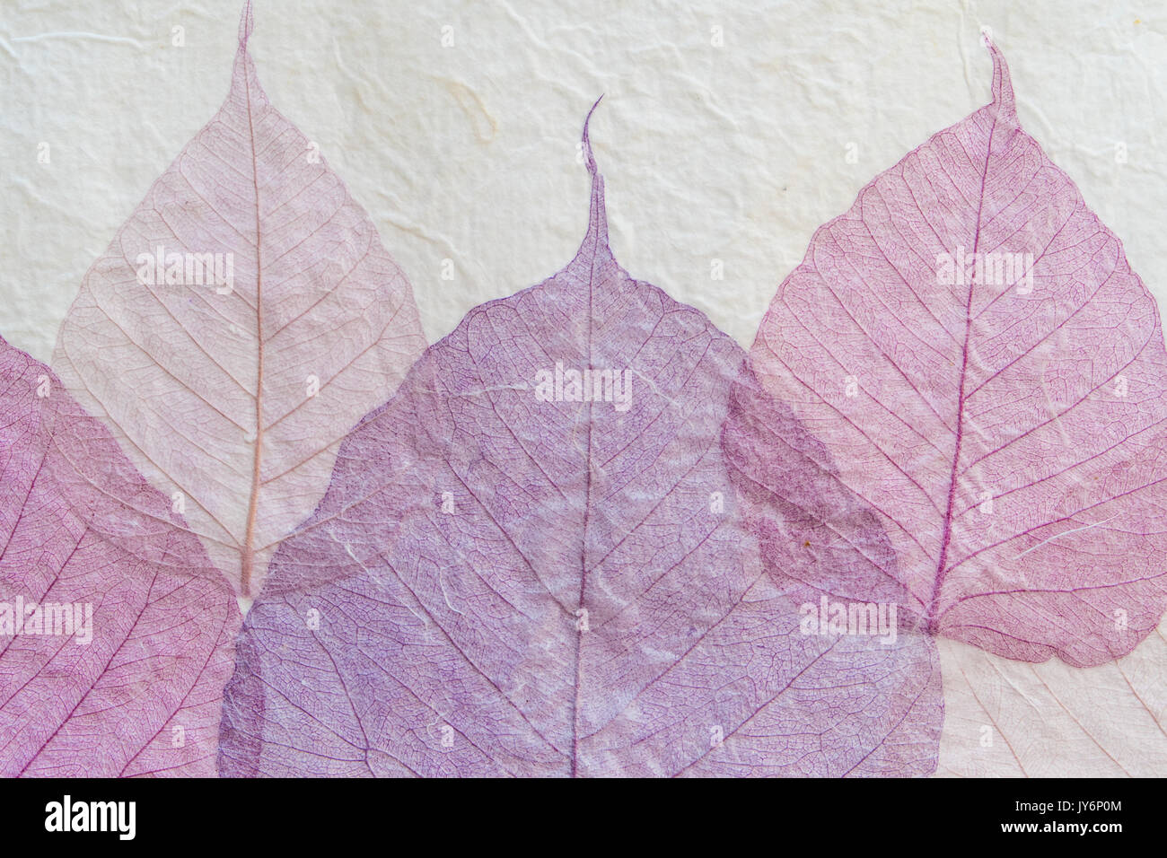japanese handmade paper with violet leaves pattern Stock Photo - Alamy