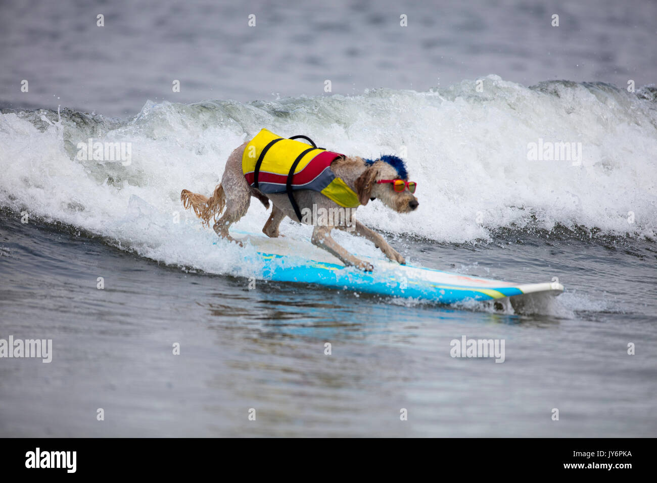 Pacifica california surfing hi-res stock photography and images - Alamy