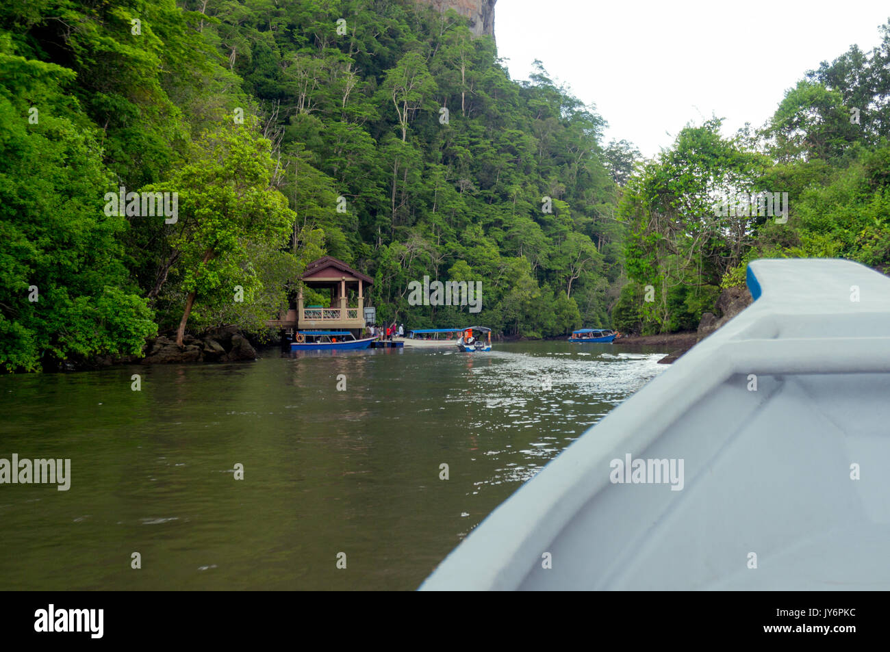 In boat shot of river cruise in Kilim Park Langkawi Stock Photo - Alamy