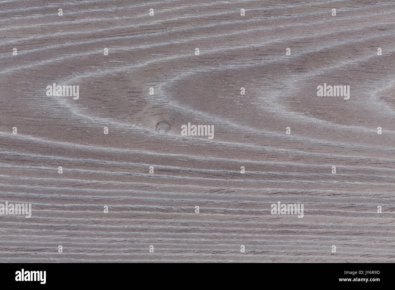 Gray exclusive natural walnut wooden texture background. Extremely high ...