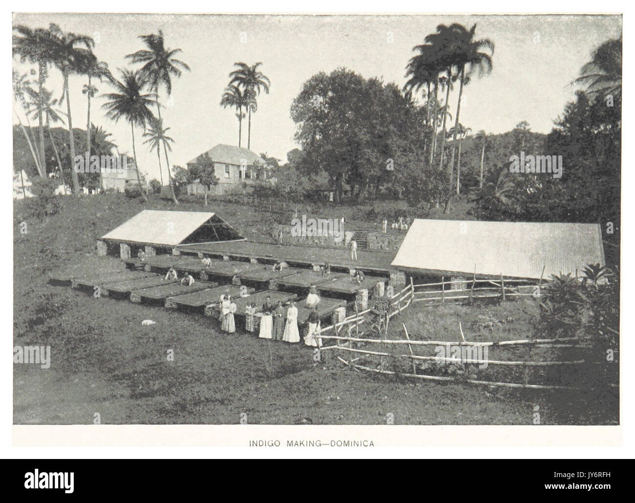 Indigo dye process and history hi-res stock photography and images - Alamy