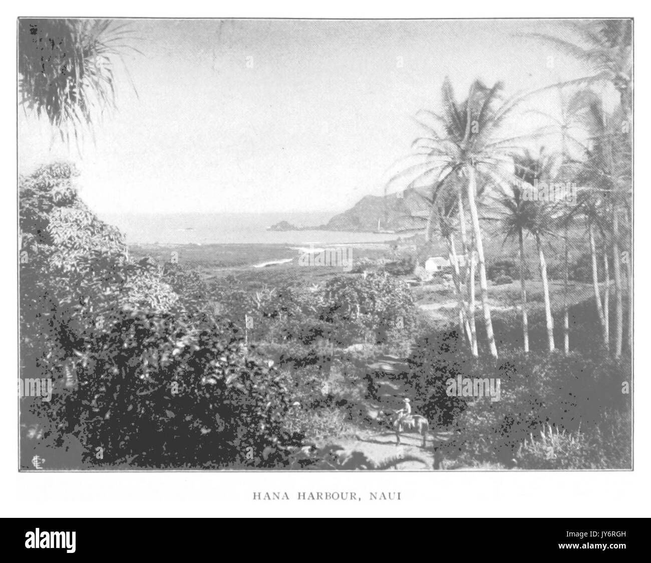 1898 hawaii hi-res stock photography and images - Alamy