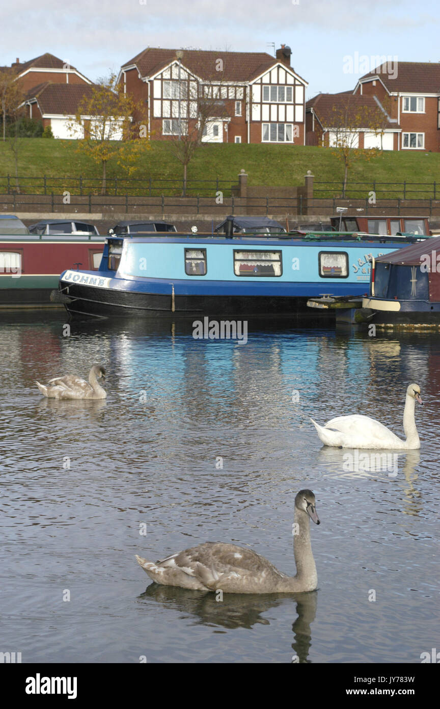 Boothstown Basin Marina Stock Photo - Alamy