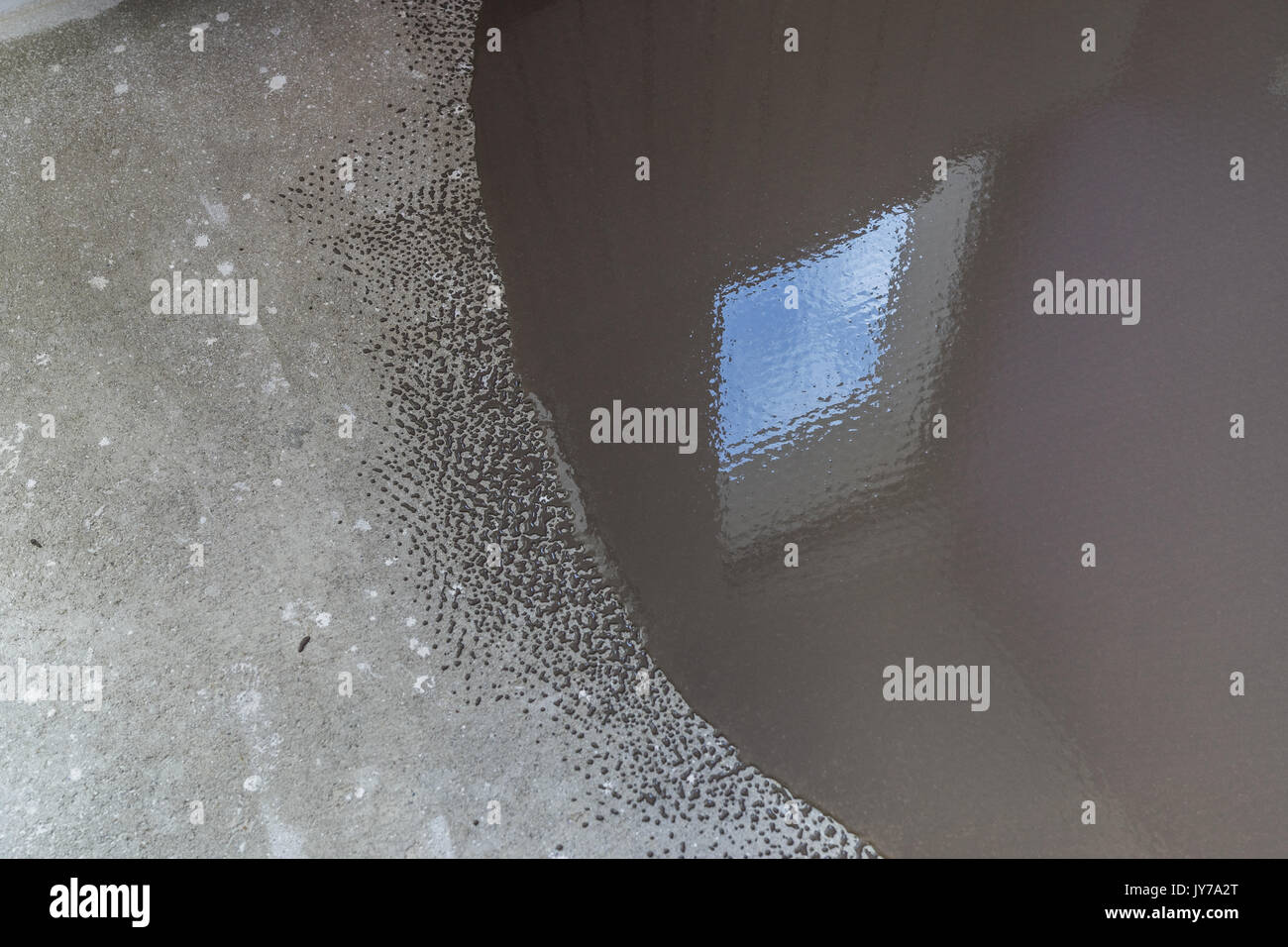 Mirror smooth surface of the floor. Floor covering with self leveling ...