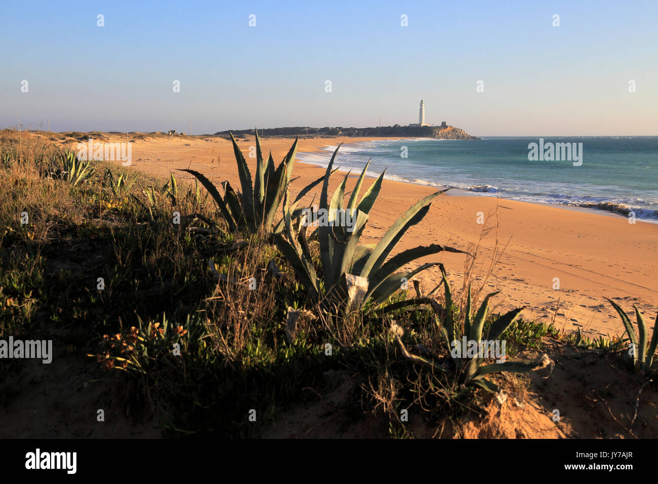 Sandy beach and lighthouse at Cabo de Trafalgar, Cape Trafalgar, Cadiz ...