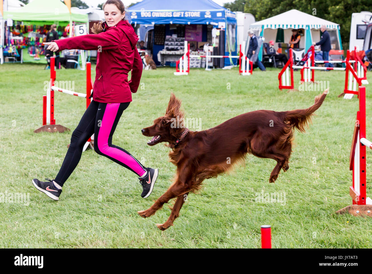 Rockingham, Northamptonshire, U.K. Kennel Club International. Dog ...