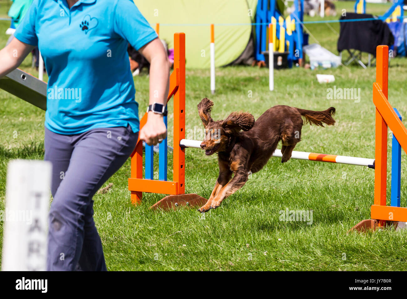 Girl with cocker spaniel hi-res stock photography and images - Alamy