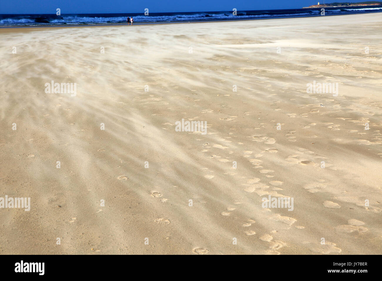 Strong wind blowing hi-res stock photography and images - Alamy